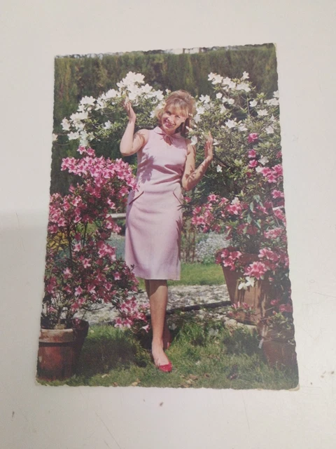 Risque Pinup Girl Woman Sexy Sword Shield Postcard An Exhibit Card Usa