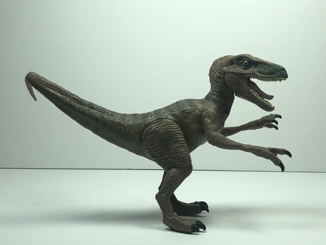 JURASSIC WORLD VELOCIRAPTOR cible exclusive Charlie Raptor Dinosaur ...