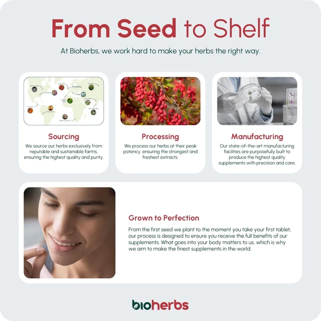 BERBERINE HCL SUPPLEMENT High Strength 2000mg 99% HCL by 90 One Per Day ...