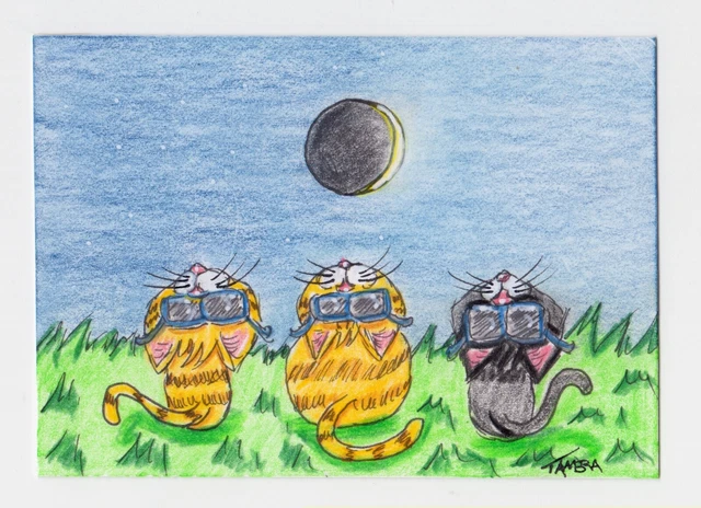 TAMBRA SOLAR ECLIPSE Moon Black CAT Tabby Cats ACEO Folk Art Original ...