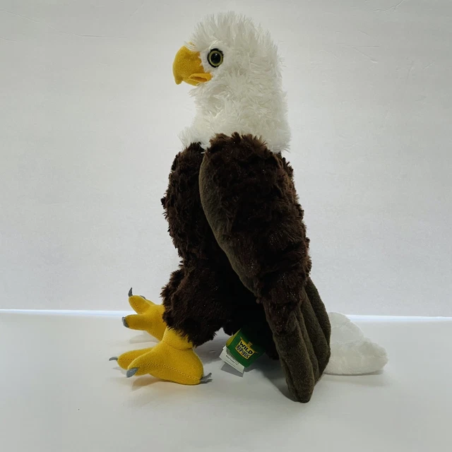WILD REPUBLIC CUDDLEKINS Realistic Bald Eagle Plush, 12" Stuffed Animal ...