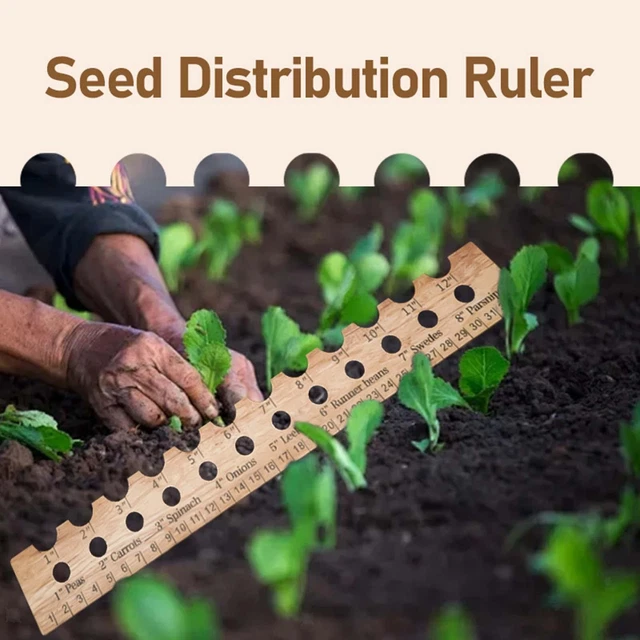 WOODEN SEED PLANTING Ruler Seed Spacer Tool for Accurate Planting and ...