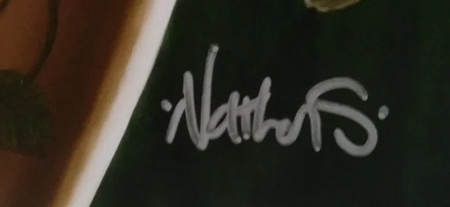 NATHAN SZERDY SIGNED Harley Quinn Poison Ivy Comic Art Print Batman ...