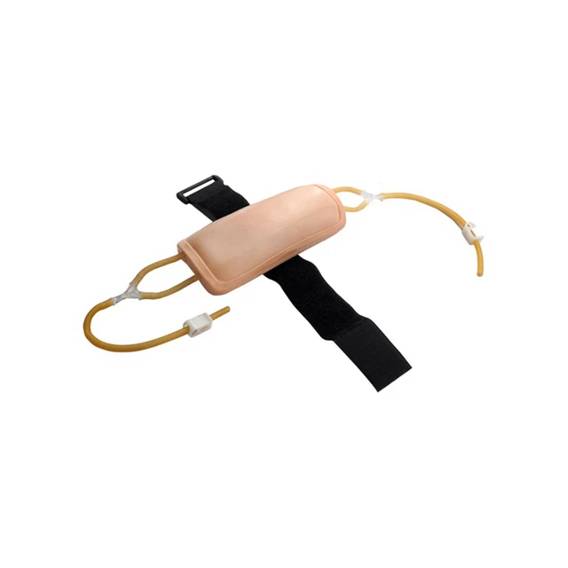 1 Pcs Forearm Venipuncture Model Intramuscular Injection Model
