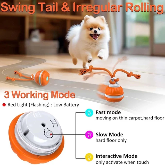 SMART DOG TOYS Interactive Teasing Ball-With Motion Activated Automatic ...