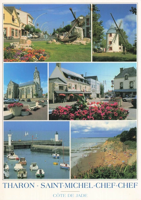 44 THARON SAINT Michel Chef Chef EUR 6,50 - PicClick FR