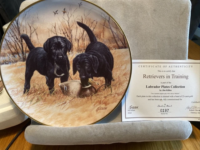 RETRIEVERS IN TRAINING Jim Killen Labrador Plate £5.00 - PicClick UK