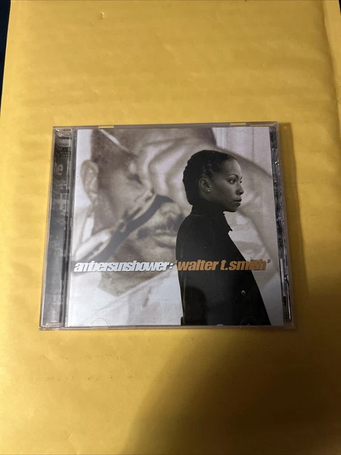 WALTER T. SMITH by Ambersunshower (CD, 1996, Gee Street) $13.21 ...