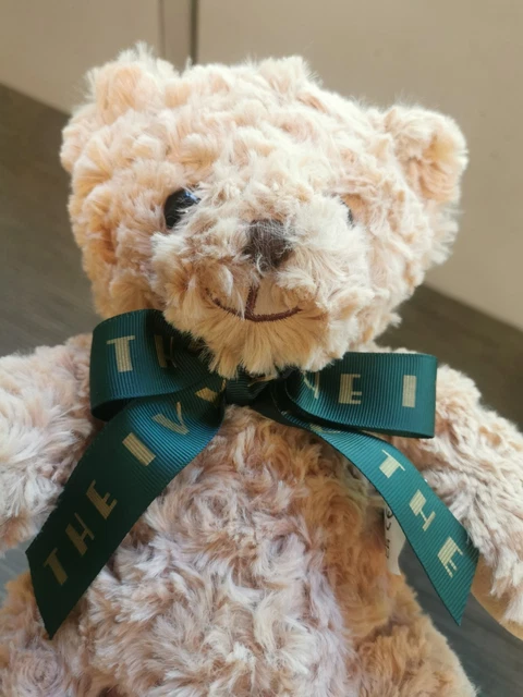 THE IVY RESTAURANT Teddy Bear Plush Soft Toy £12.94 - PicClick UK