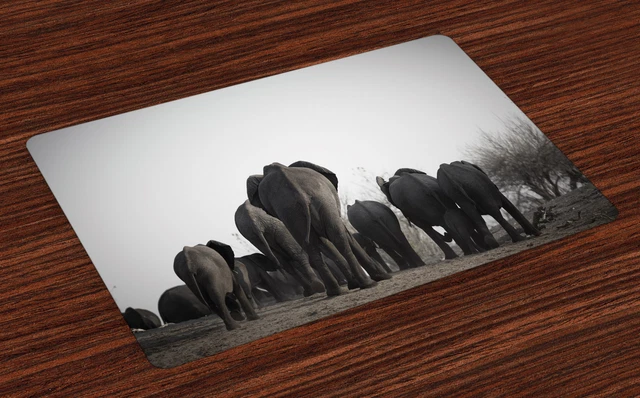 L'ÉLÉPHANT SETS DE Table Tropic Wildlife Safari EUR 18,99 - PicClick FR