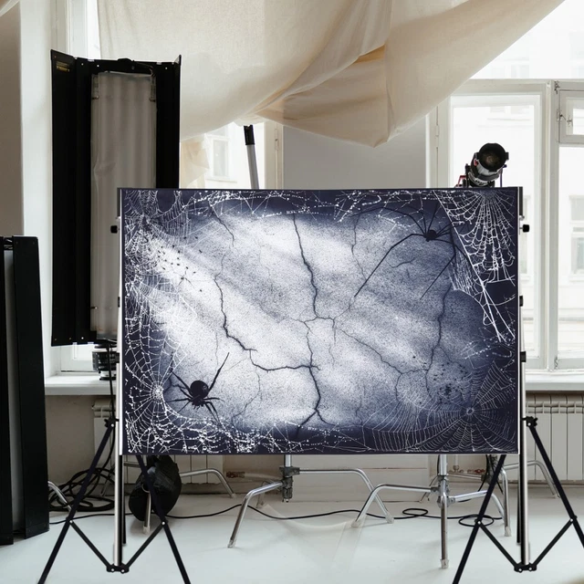 SPIDER WEB DECORATION Halloween Photo Booth Backdrop Studio Background ...
