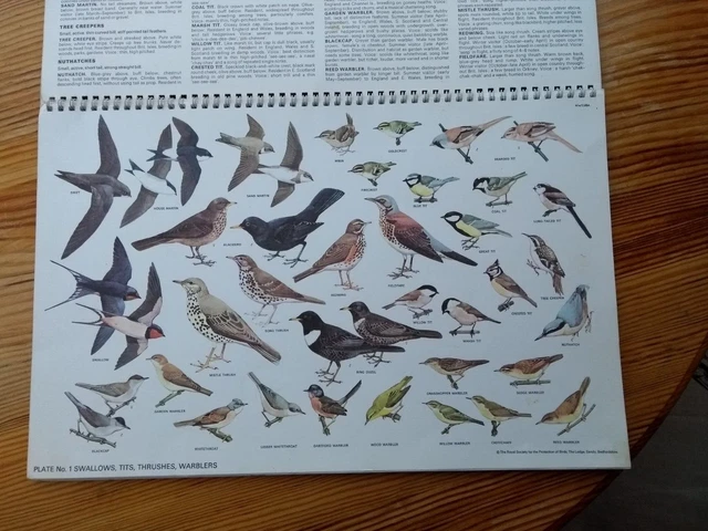 RSPB FIELD IDENTIFICATION Guide to Selected British Birds, spiral bound ...