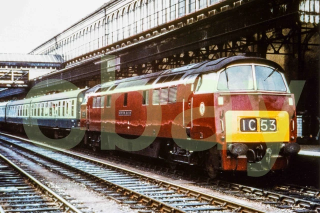 UK RAILWAY PHOTOGRAPH of Class 52 Western Locomotive D1040. RM52-110 £1 ...