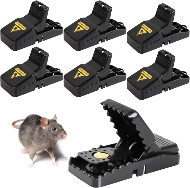 6 PEZZI TRAPPOLA per topi grande veleno ratti galleria secchio veleno ... 6 PEZZI TRAPPOLA per topi grande veleno ratti galleria secchio veleno ...