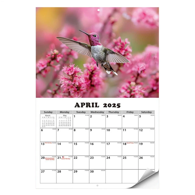 HUMMINGBIRDS CALENDAR 2025 - Deluxe 2025 Humming Bird Wall Calendar ...