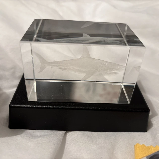 SHARK LIGHT DISPLAY Box 3D Printed £5.45 - PicClick UK