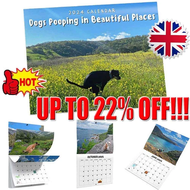 2024 DOGS POOPING Calendar - 2024 Wall Monthly Funny Gag Dog Calendar ...