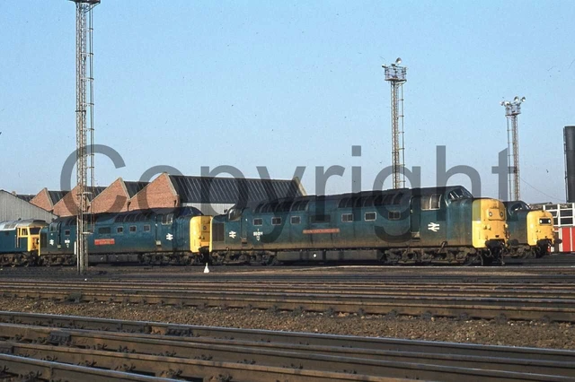 ORIGINAL 35MM COLOUR BR DELTIC DIESELS 55014/55016 HAYMARKET DEPOT ...