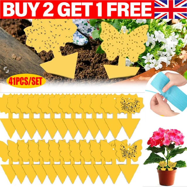STICKY FLY TRAP 41Pcs/set Paper Traps Fruit Flies Insect Aphids Glue ...