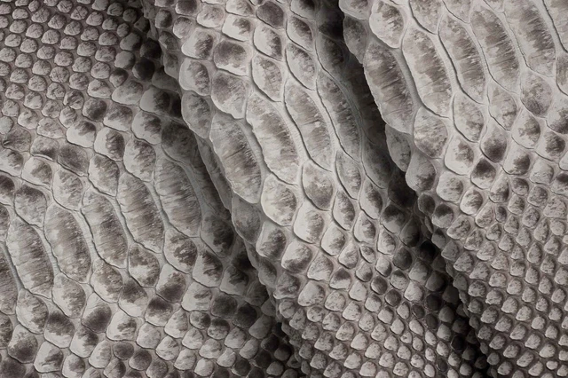 GENUINE PYTHON SKIN, Black Matte, Cognac Glossy Snake Skin, Exotic ...