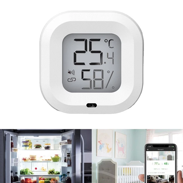 ANALYSEUR DE TEMP??RATURE int??rieur avec pack de 5 mini thermom??tre num??rique EUR 23,20 ...