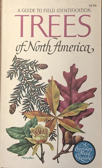 Identifying Trees
