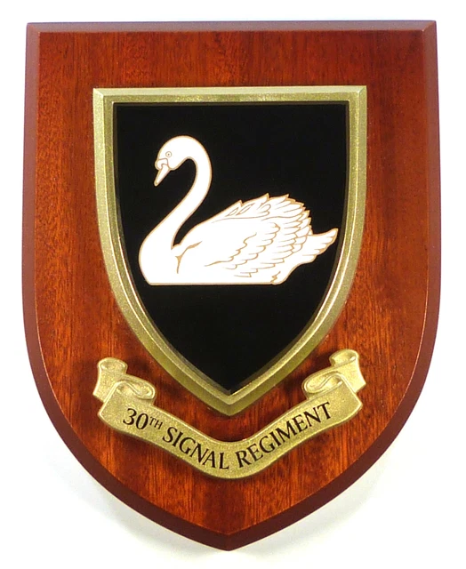 30TH SIGNAL REGIMENT Corps Of Signals Deluxe Uk Made Veterans Mess ...