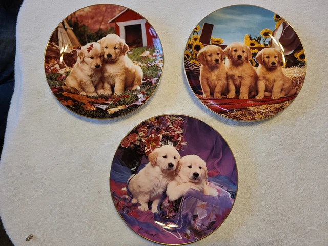 3 X 1995 Royal Doulton Limited Edition Labrador Plates Signed £15.00 ...