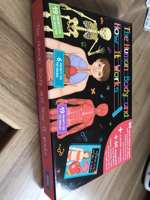 THE HUMAN BODY and how it works with 56 body parts magnets az ...