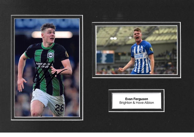 EVAN FERGUSON SIGNED 12x8 Photo Display Brighton & Hove Albion ...