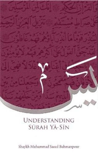 UNDERSTANDING SURAH YASIN by Bahmanpour, Muhammad Saeed NEUF EUR 36,21 ...