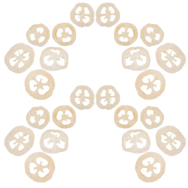 40 PCS PET Toothcleaning Toy Rabbit Chew Bunny Treats for Rabbits $22. ...