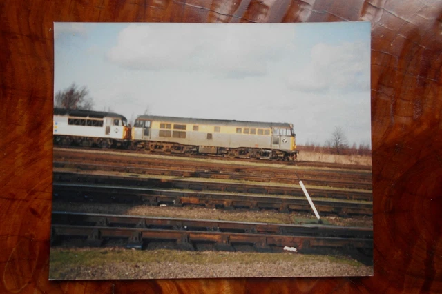 CLASS 31 NO 31135 Diesel Locomotive March Side Photograph £0.99 ...