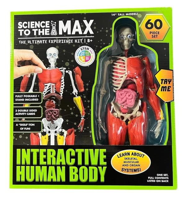 SCIENCE TO THE Max Interactive Human Body 60 Piece Set Open Box ...
