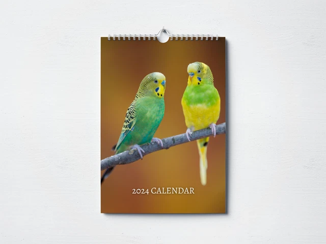 PARAKEET CALENDAR 2024 | Monthly Wall Calendar, A4 | Hanging Calendar £ ...