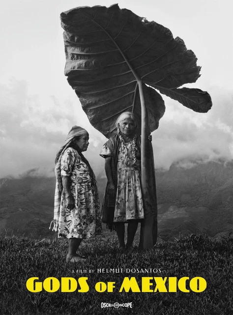 GODS OF MEXICO (DVD) Maria Isabel Villanueva Perez Helmut Dosantos EUR ...