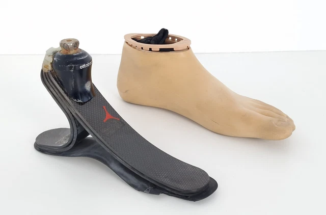 OTTOBOCK 1C30 TRIAS Prothesenfuß Prosthetic Foot Fuß-Prothese footshell ...