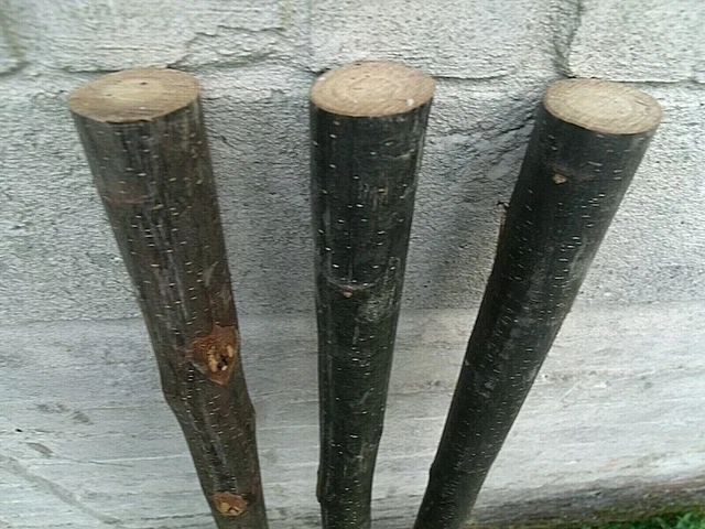 3 CHESTNUT SHANKS Stickmaking Walking Stick Shafts Blanks Bark Seasoned ...