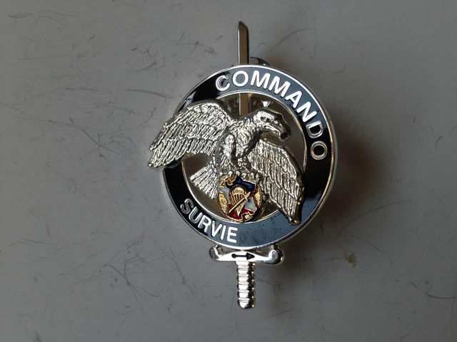 INSIGNE MILITAIRE FRANCE Brevet Cnec Commando Survie Boussemart Argente ...
