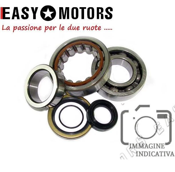 KIT CUSCINETTI BANCO E Paraoli X Albero Motore Ktm Mxc 2T (Forcella 48) 400 2002 EUR 230,00 ...