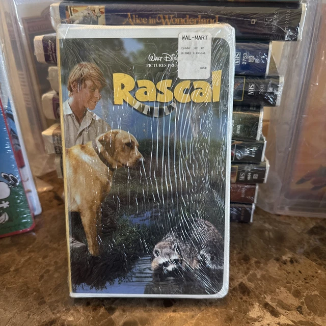 DISNEY, RASCAL CGC Ready Rare RED Buena Vista Seal 🔥 £17.70 - PicClick UK