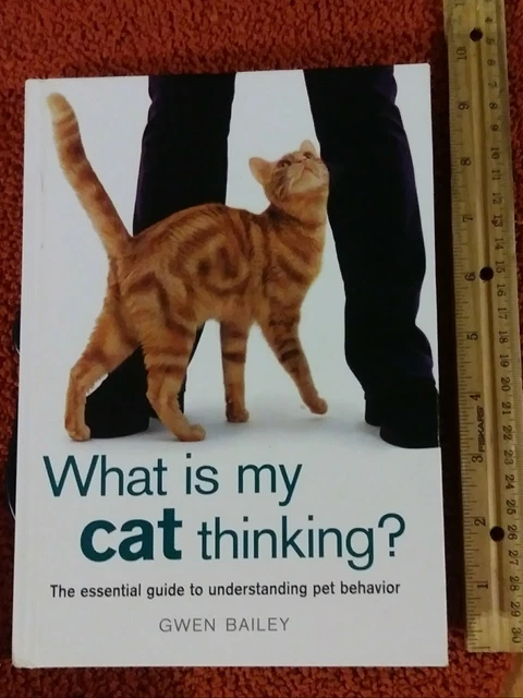 WHAT IS MY Cat Thinking? : The Essential Guide to Understanding Pet ...
