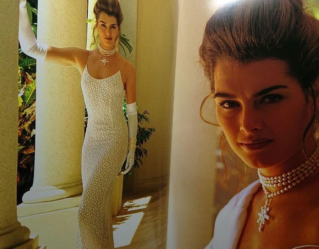 Brooke Shields Photo Book Japanese Secrets 1993 Eur 18 62 Picclick Fr