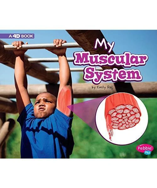 MY MUSCULAR SYSTEM: A 4D Book, Emily Raij EUR 10,52 - PicClick FR