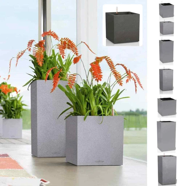 Design Pflanzkbel Innen