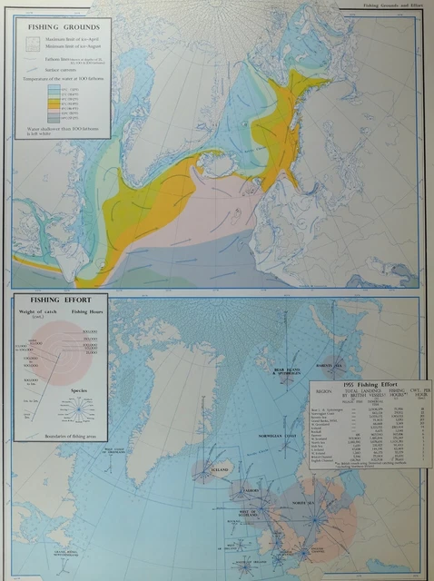 VINTAGE LARGE MAP Fishing Grounds & Effort Arctic Circle British Isles ...