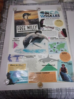FREE WILLY ORCA/KILLER Whale Educational Poster - 1990's - Size 59cm x ...