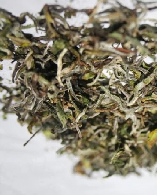 DARJEELING TEA (FRESH FIRST FLUSH 2025) CASTLETON MOONLIGHT WHITE TEA ...