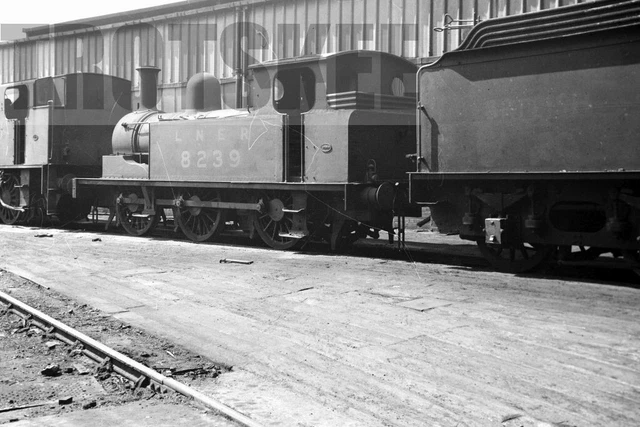 LARGER NEGATIVE BR British Railways Steam Loco 8239 Class J71 c1950 £3. ...