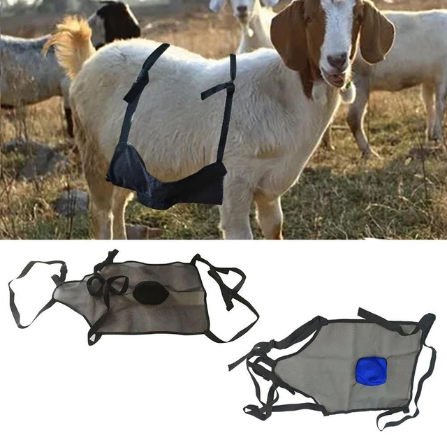 1PCS ANTI MATING Anti Breeding ApronS with Control forGoats Harness ...